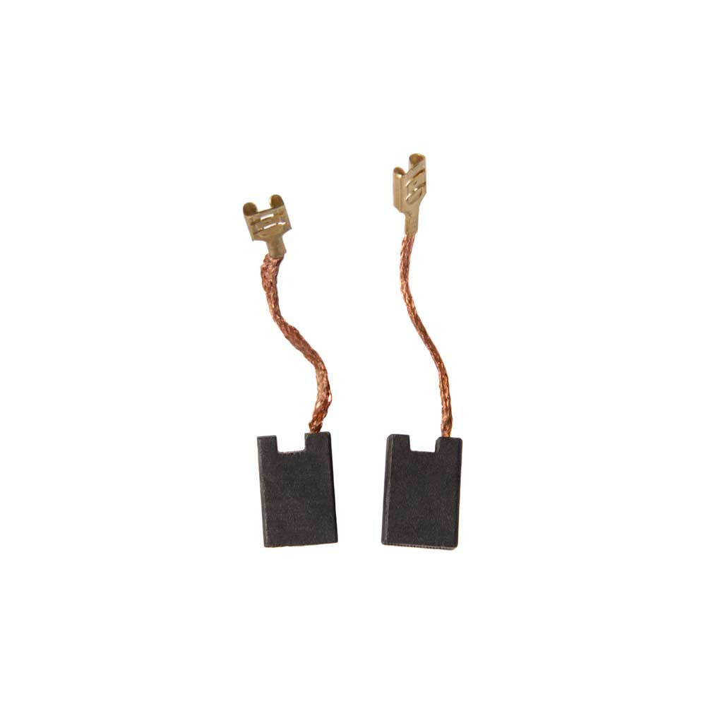 Carbon Brushes (PTS-250) | ParkerBrand